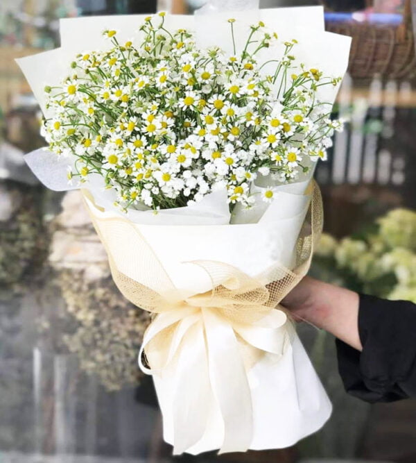 Hoa cúc Tana và những ý nghĩa mà shop Hoa Tươi 9x muốn gợi ý đến bạn