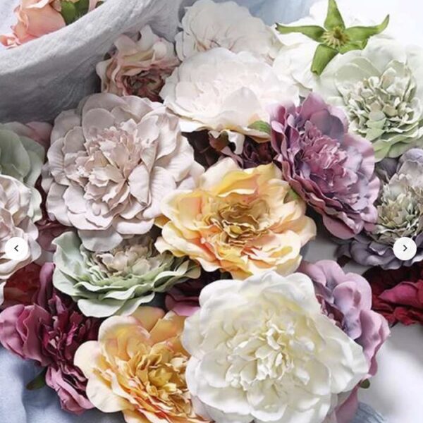 Ý nghĩa hoa trà - Những bí mật về hoa trà không phải ai cũng biết