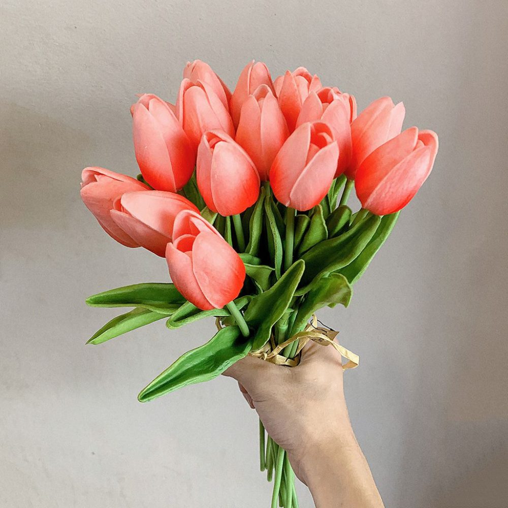 Ý nghĩa hoa tulip - Loài hoa biểu tượng của vẻ đẹp và sự tinh tế